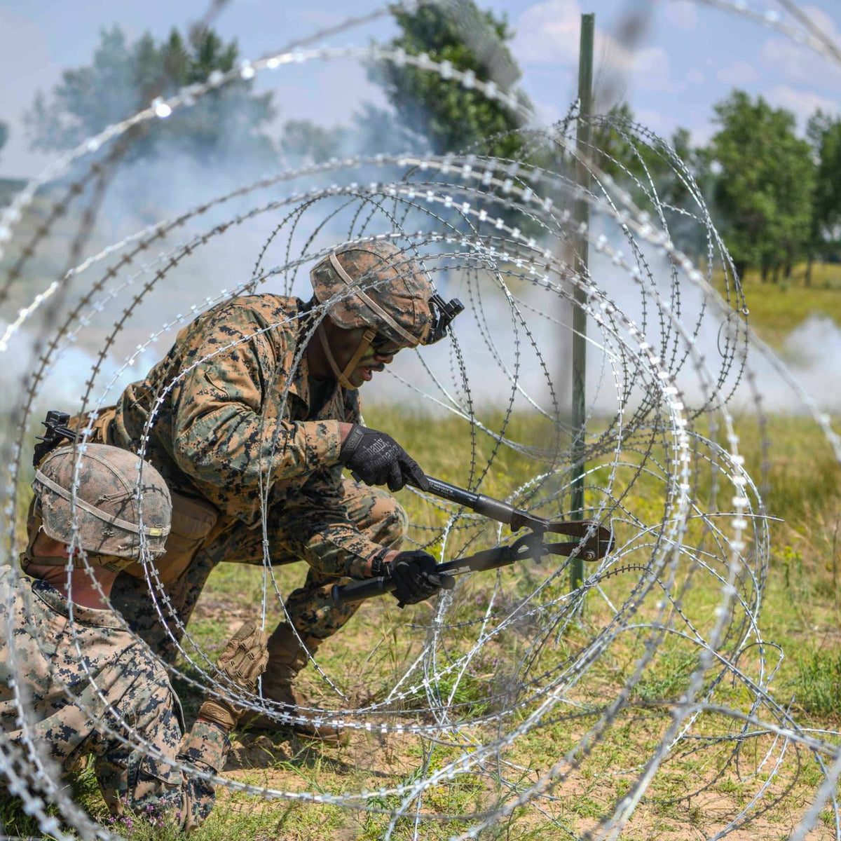 What Are Spur Cutter Tools and Why Do They Matter? – My Store